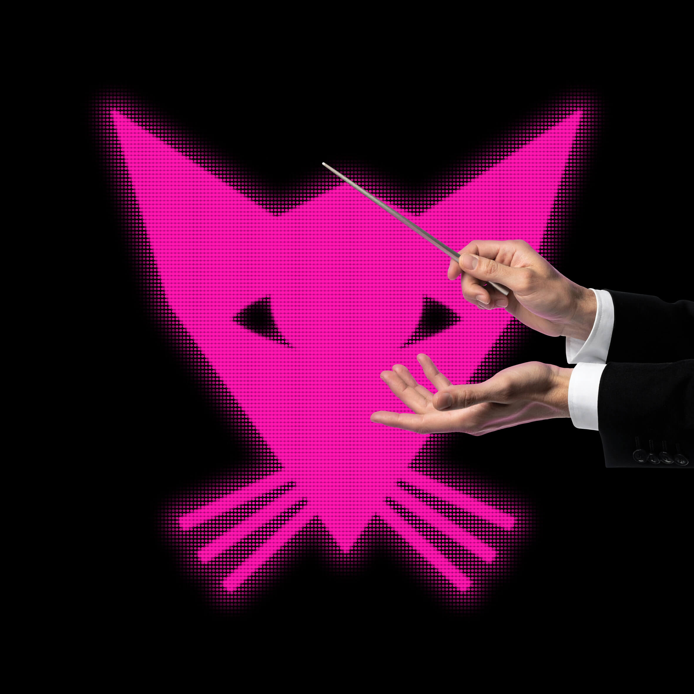 Os Da Weasel regressam ao MEO Marés com orquestra! - Da Weasel